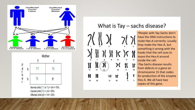 Tay sach disease ppt 1 | PPT