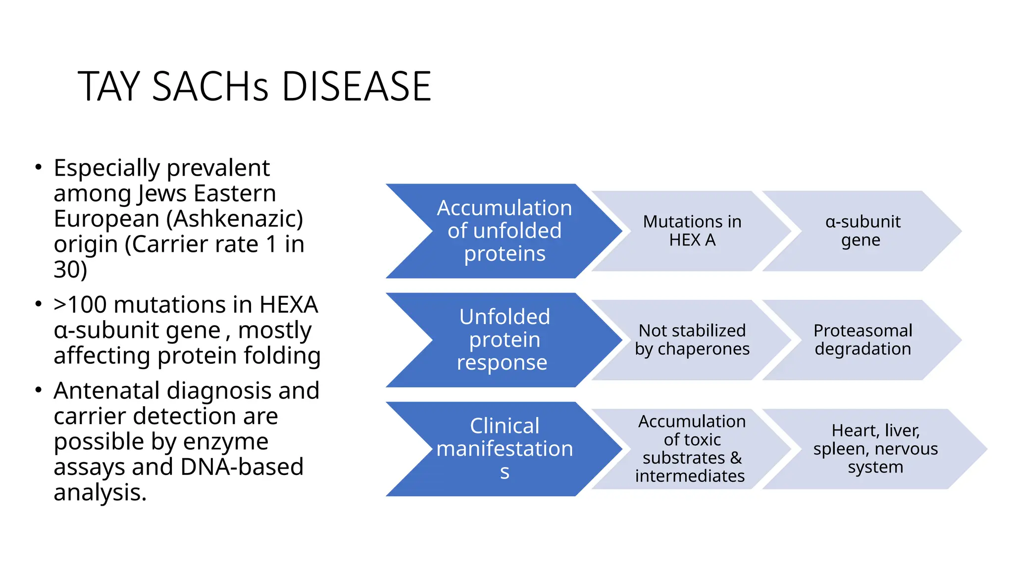 tay sach disease physilogy and biochemistry | PPTX