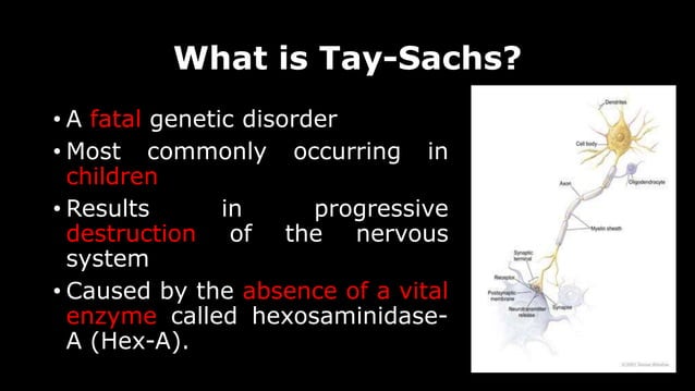 Tay Sachs disease | PPTX | Brain and Nervous System Disorders ...