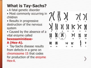 Taysachs final | PPTX