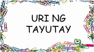Tayutay | PPTX