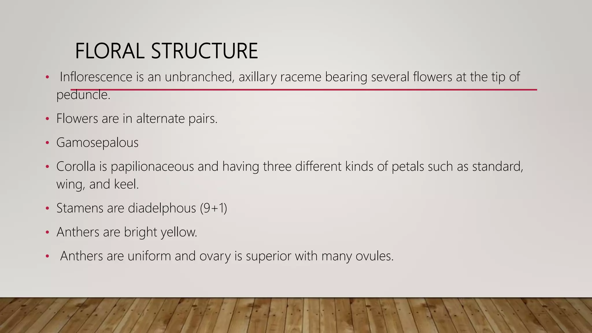 Cowpea, Vigna unguiculata,botanical description, breeding | PPTX