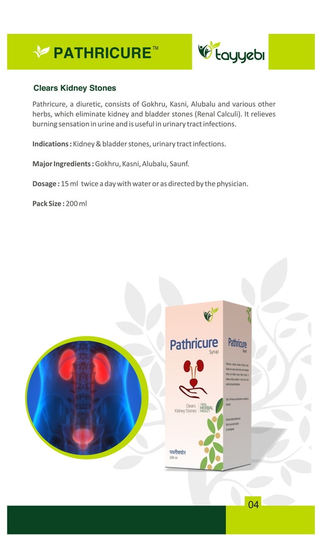 Tayyebi Brochure English.pdf