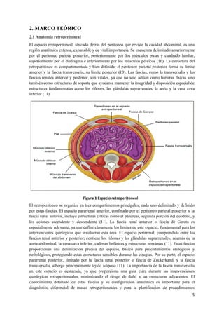 Manejo Clínico de los Tumores Retroperitoneales Primarios (Revisión ...