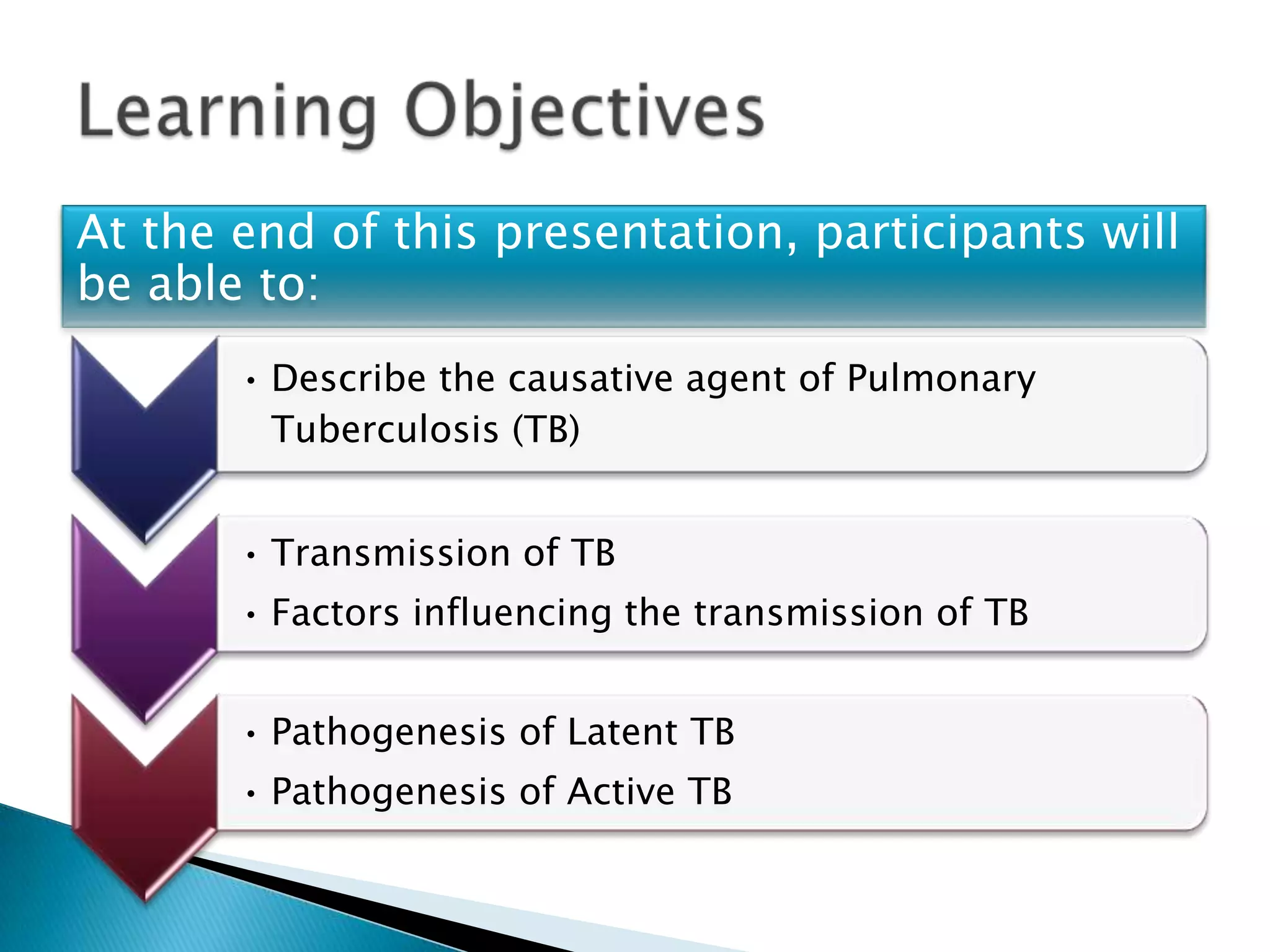 Tuberculosis Pathogenesis | PPTX