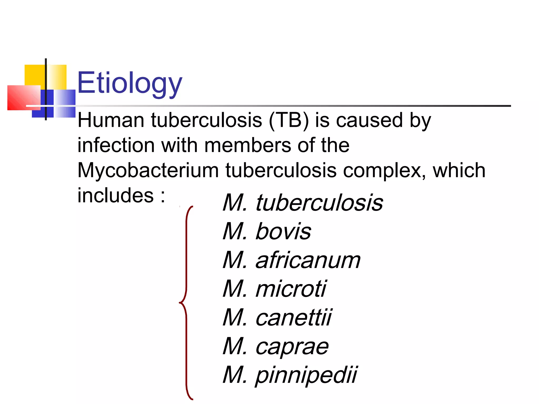 Tuberclosis | PPT
