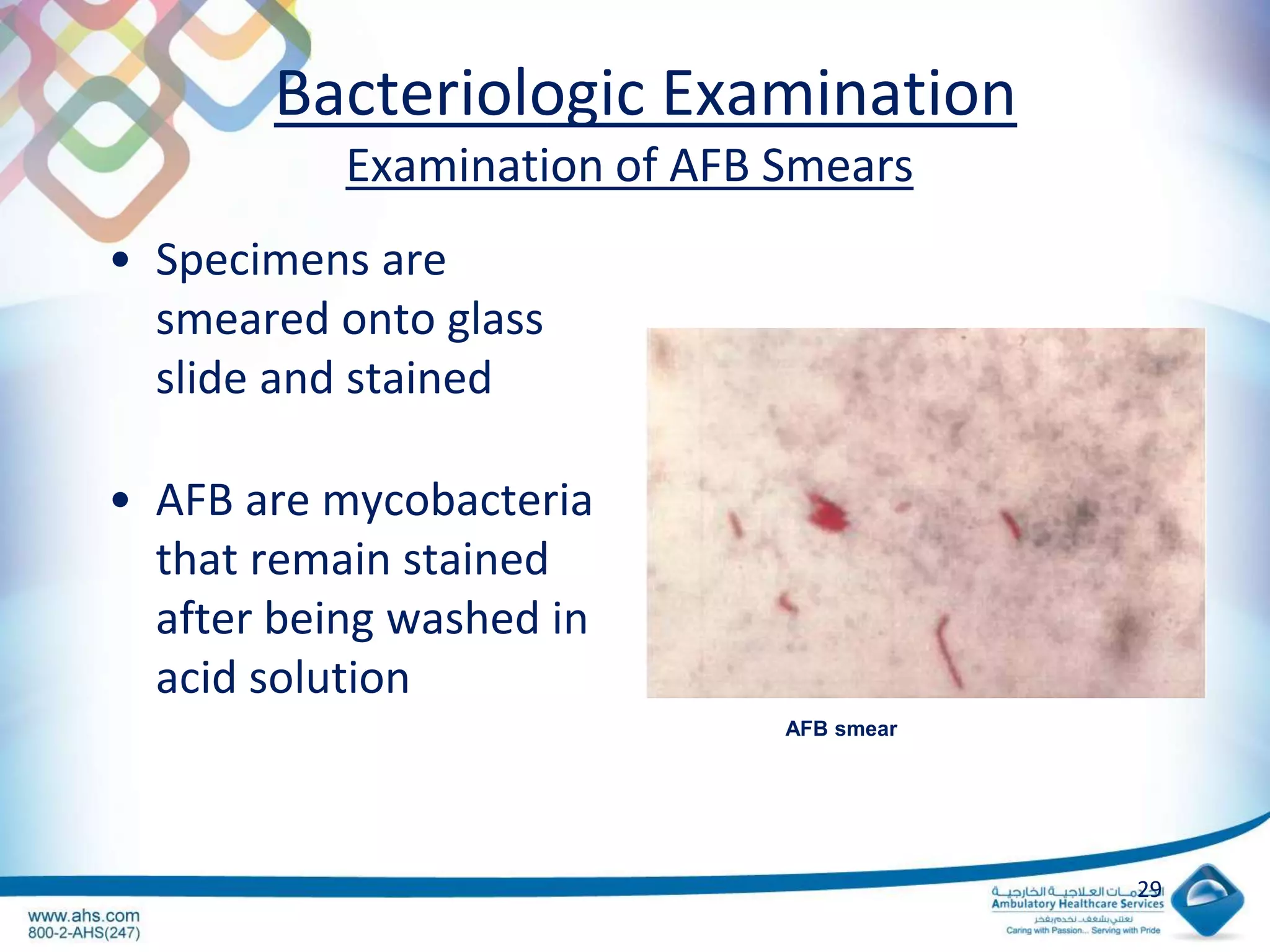 TUBERCULOSIS | PPTX