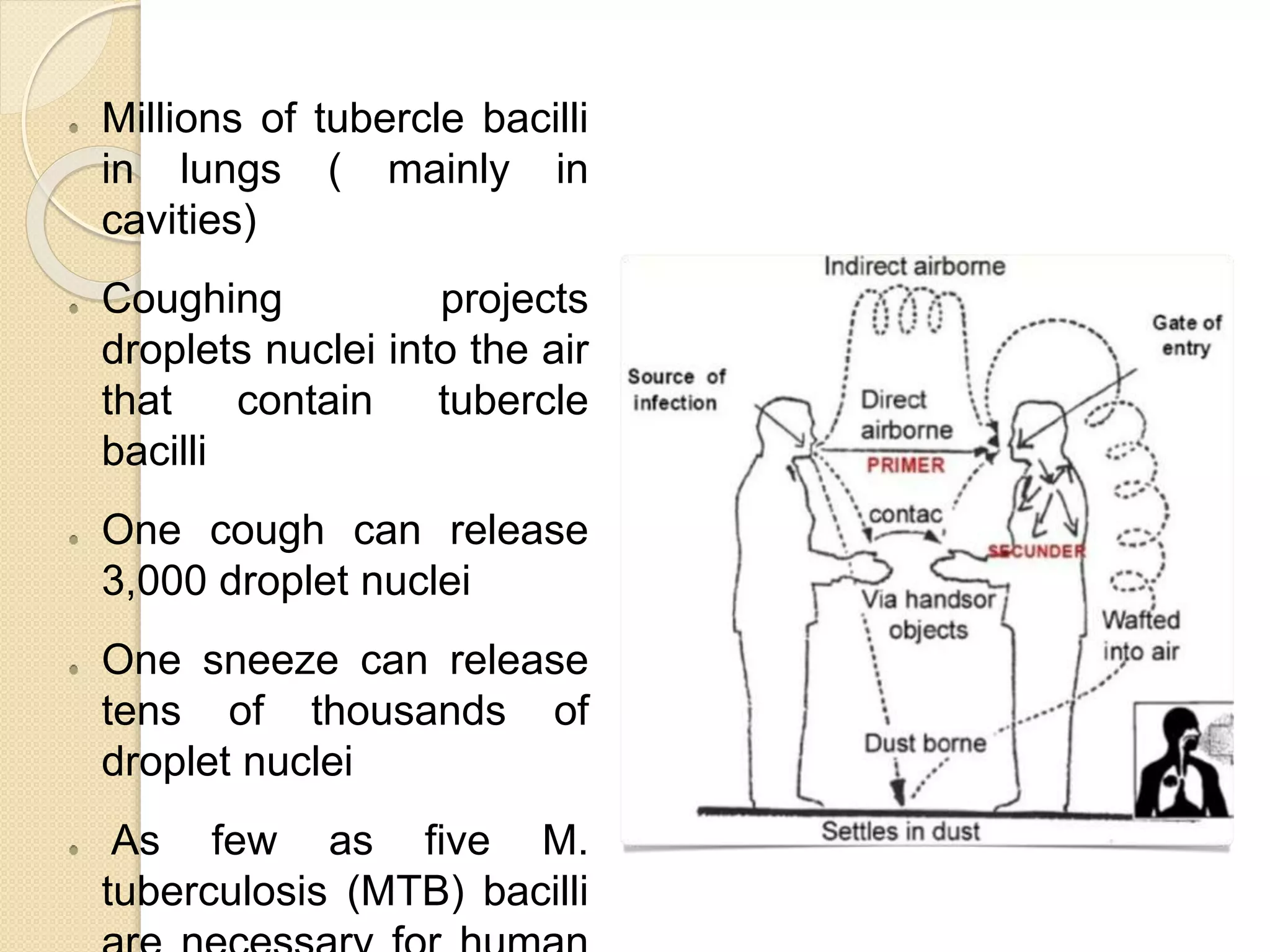 TUBERCULOSIS | PPTX