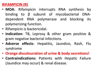 Tuberculosis | PPT