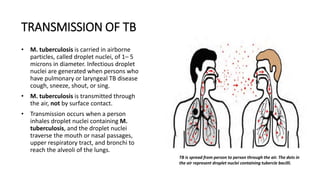 Tuberculosis | PPTX | Lung and Respiratory Health | Diseases and Conditions
