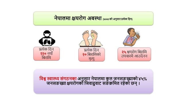 Tuberculosis National Health Program in Nepal | PPTX