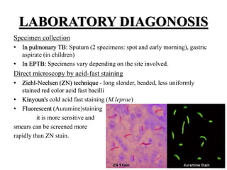 Mycobacterium | PPTX
