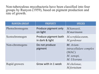 Mycobacterium | PPTX