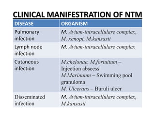 Mycobacterium | PPTX