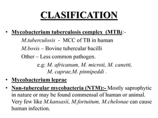 Mycobacterium | PPTX