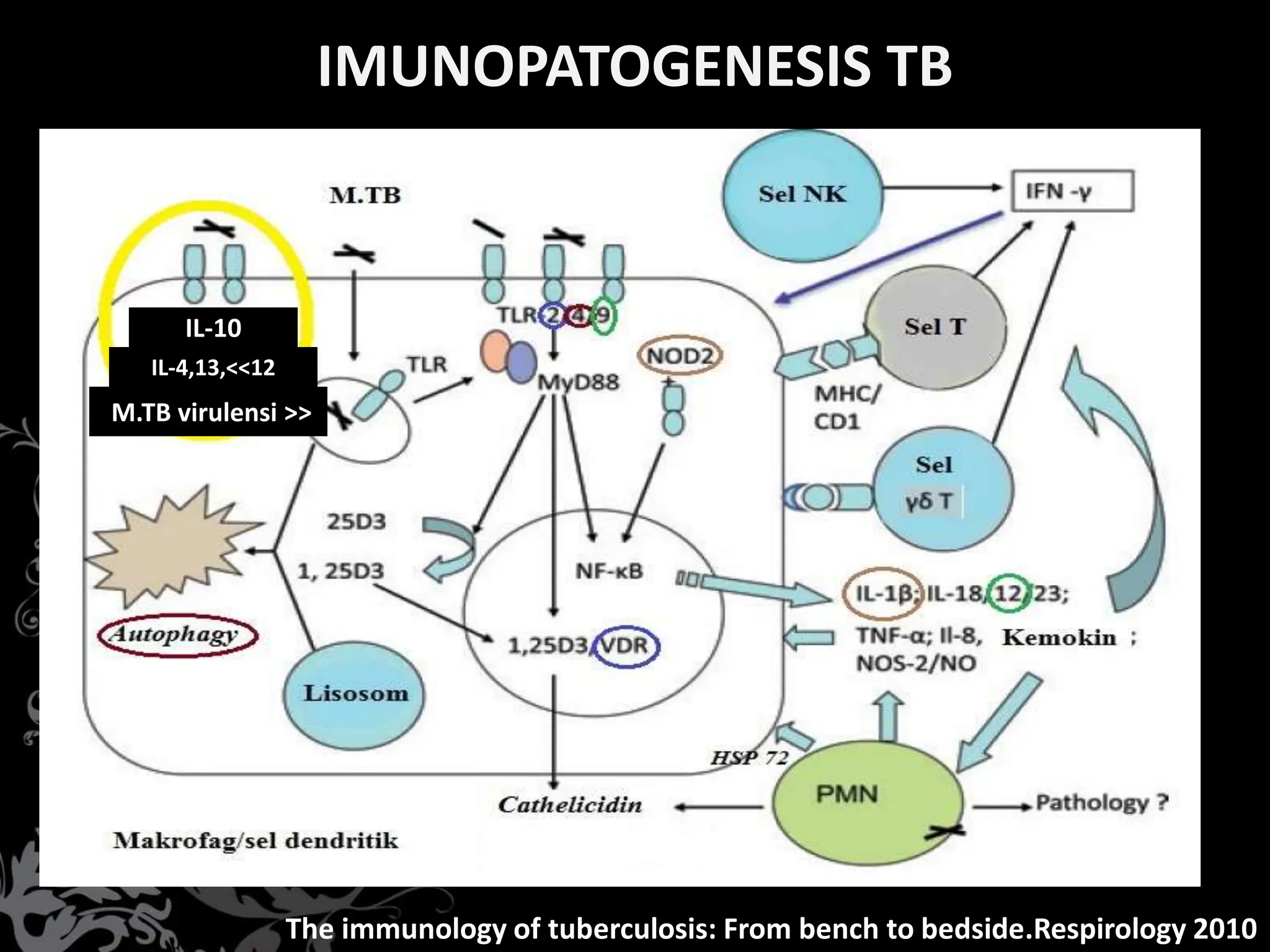Tuberkulosis TB, RSUD JAYAPURA, FK Uncen.pptx