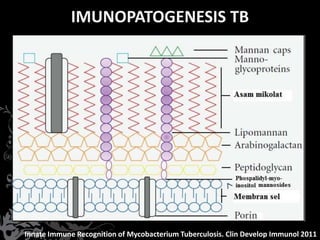 Tuberkulosis TB, RSUD JAYAPURA, FK Uncen.pptx