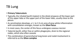 Tuberculosis histology pictures explained.pptx