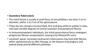 Tuberculosis histology pictures explained.pptx