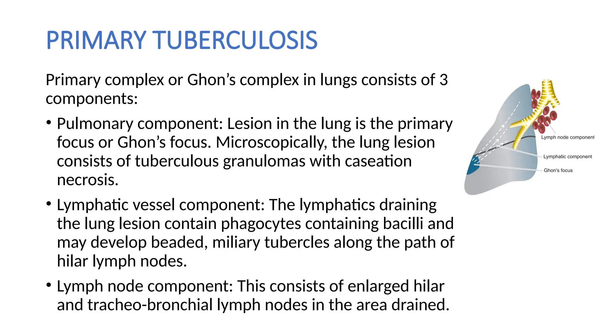 Pathology of Tuberculosis, pathogenesis of Tuberculosis | PPTX