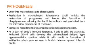 Pathology of Tuberculosis, pathogenesis of Tuberculosis | PPTX