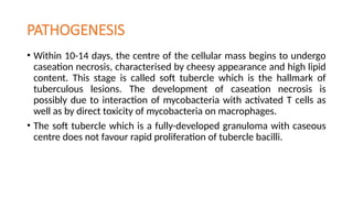 Pathology of Tuberculosis, pathogenesis of Tuberculosis | PPTX