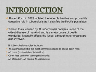 Tuberculosis MBBS For medical College and Hospital ppt | PPTX