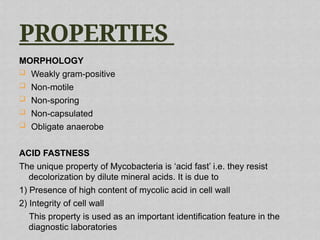 Tuberculosis MBBS For medical College and Hospital ppt | PPTX ...