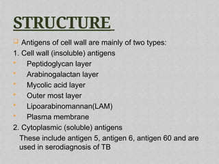 Tuberculosis MBBS For medical College and Hospital ppt | PPTX