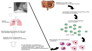 Tb hiv-coinfection | PPTX