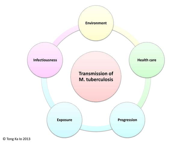 Tuberculosis infection control program - CDC guidelines | PPT