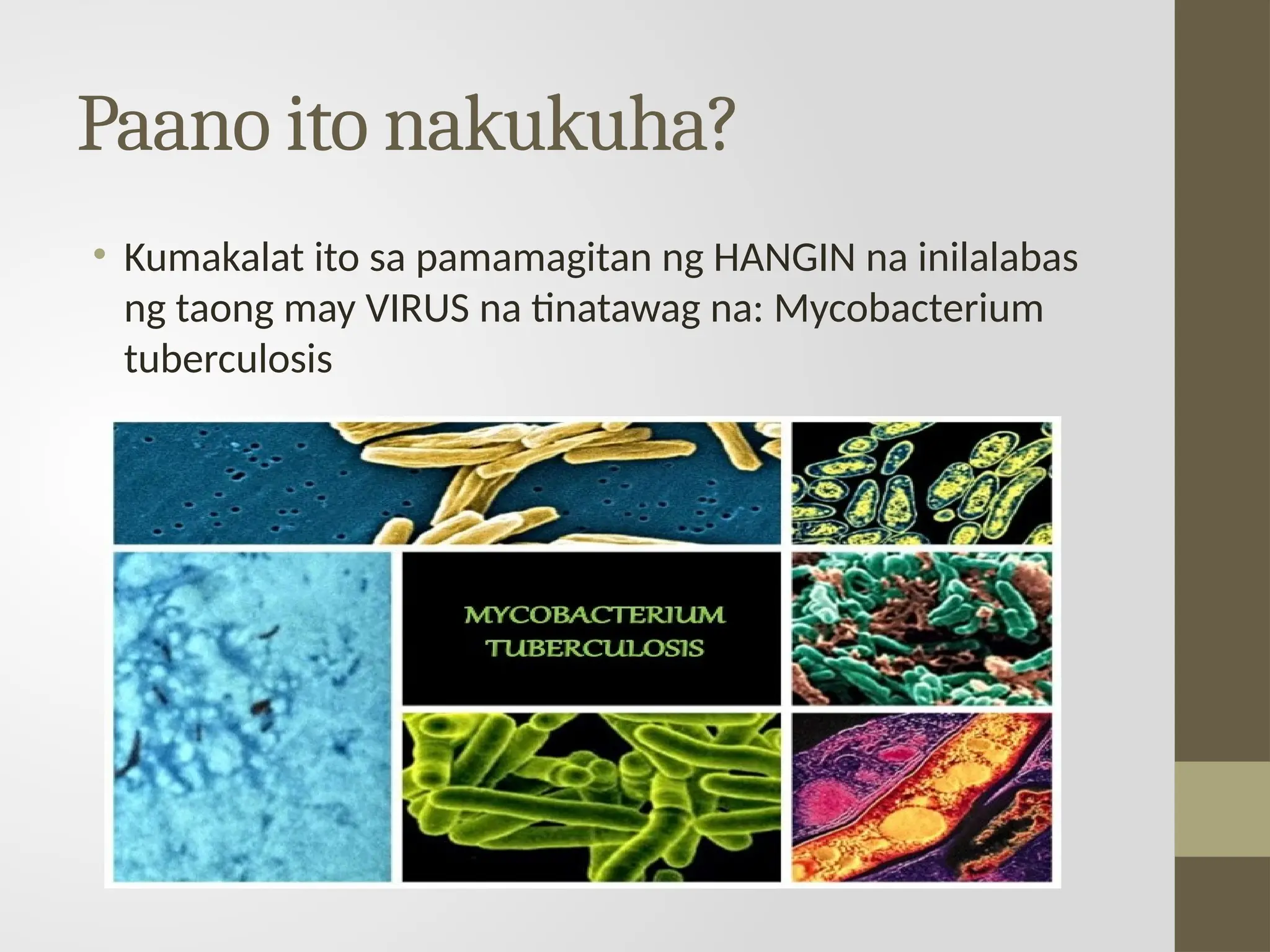 Tuberculosis or TB, HINDI ito kumakalat sa pamamagitan ng: Handshake o ...