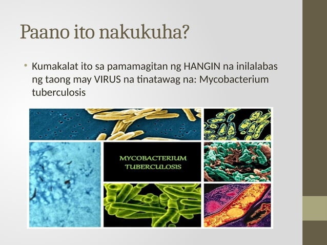 Tuberculosis or TB, HINDI ito kumakalat sa pamamagitan ng: Handshake o ...
