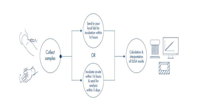 TB- QUANTIFERON TEST.pptx | Infectious Diseases | Diseases and Conditions