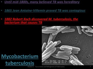 Tuberculosis... a brife description about it | PPT