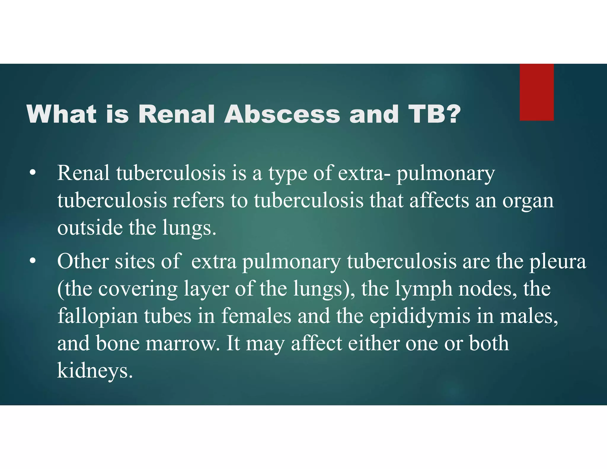 TB And Renal Abscess PPT PDF.pdf