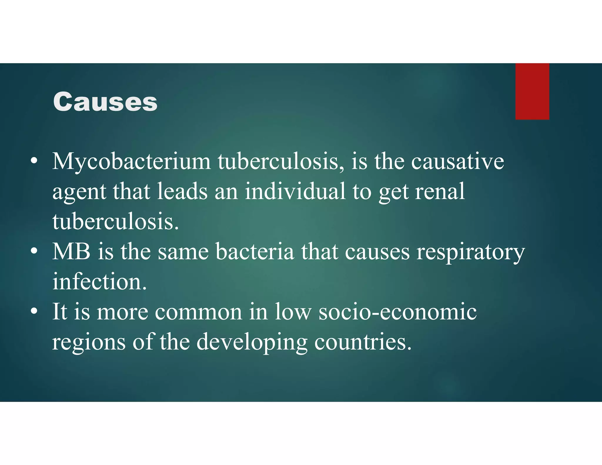 TB And Renal Abscess PPT PDF.pdf
