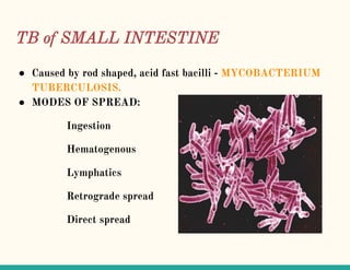 TB and typhoid lesions of small intestine .pptx