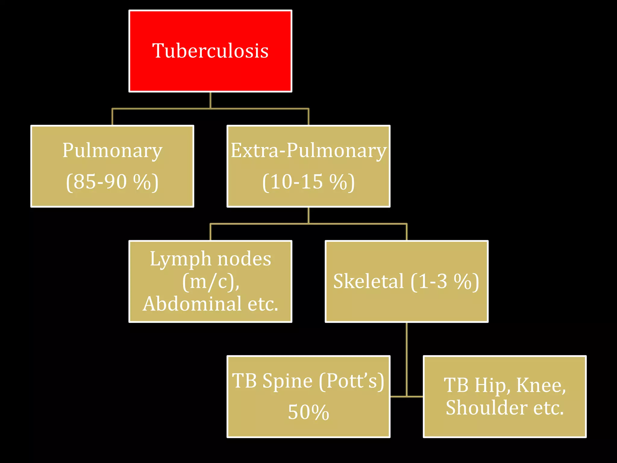 Tb appendicular skeleton | PPTX