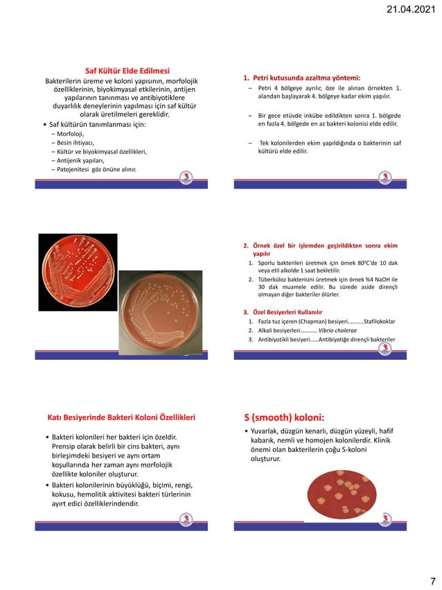 Tıbbi Mikro Uyg. 5.pdf