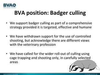 Bovine TB - BVA Welsh Assembly briefing | PPT
