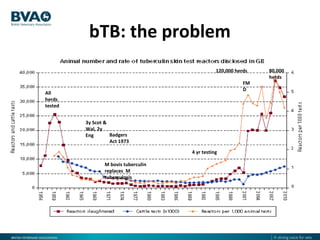 Bovine TB - BVA Welsh Assembly briefing | PPT
