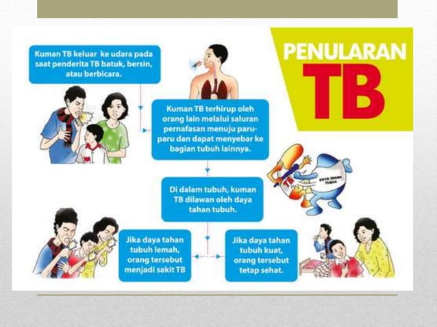 Tuberculosis (TB) | PPTX