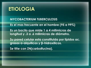 TBC.ppt diagnóstico y tratamiento de tuberculosis | PPT