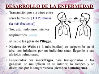 tuberculosis como infeccion respiratoria generalziades | PPTX