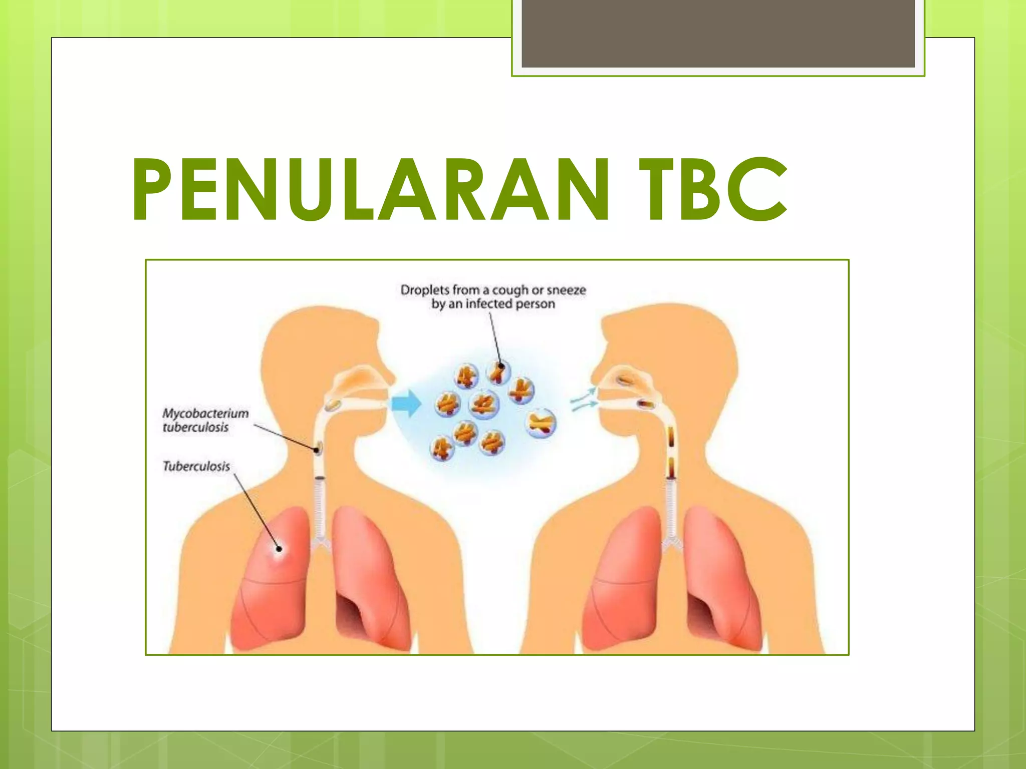 TBC (TUBERCULOSIS) PRESENTASI.pdf