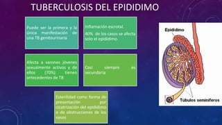 TBC Urogenital | PPTX
