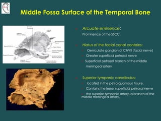 Temporal Bone Dissection :Anatomy.Technique.Surgical Precision | PDF