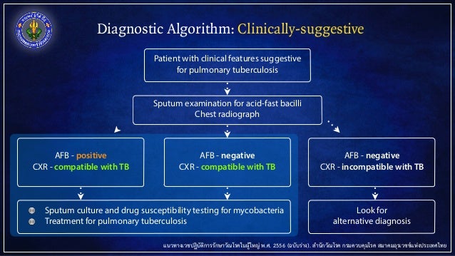 Tuberculosis diagnostics