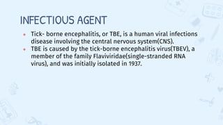 TICK BORNE ENCEPHALITIS | PPTX